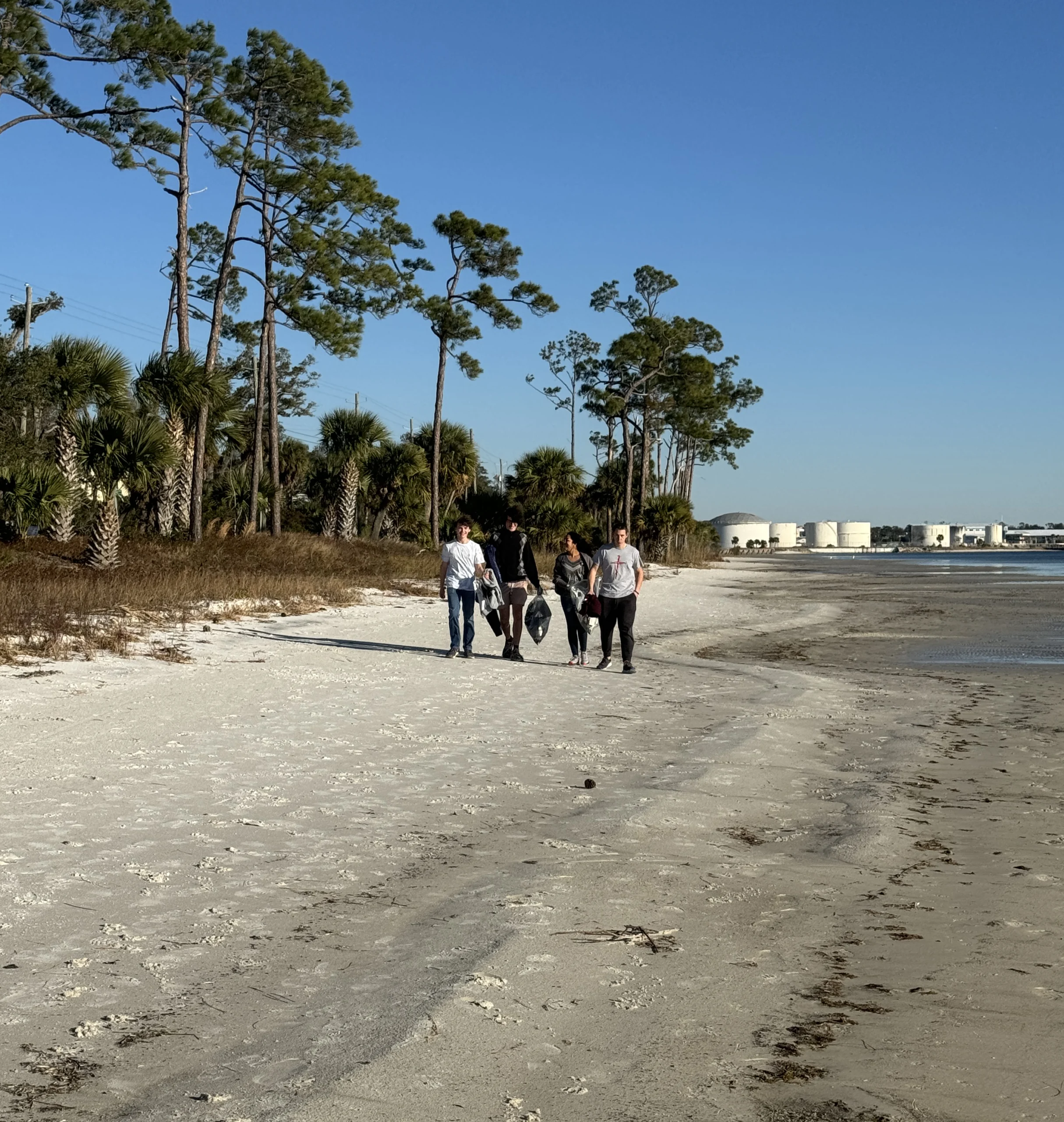 Stewardship | St. Andrew & St. Joseph Bays Estuary Program