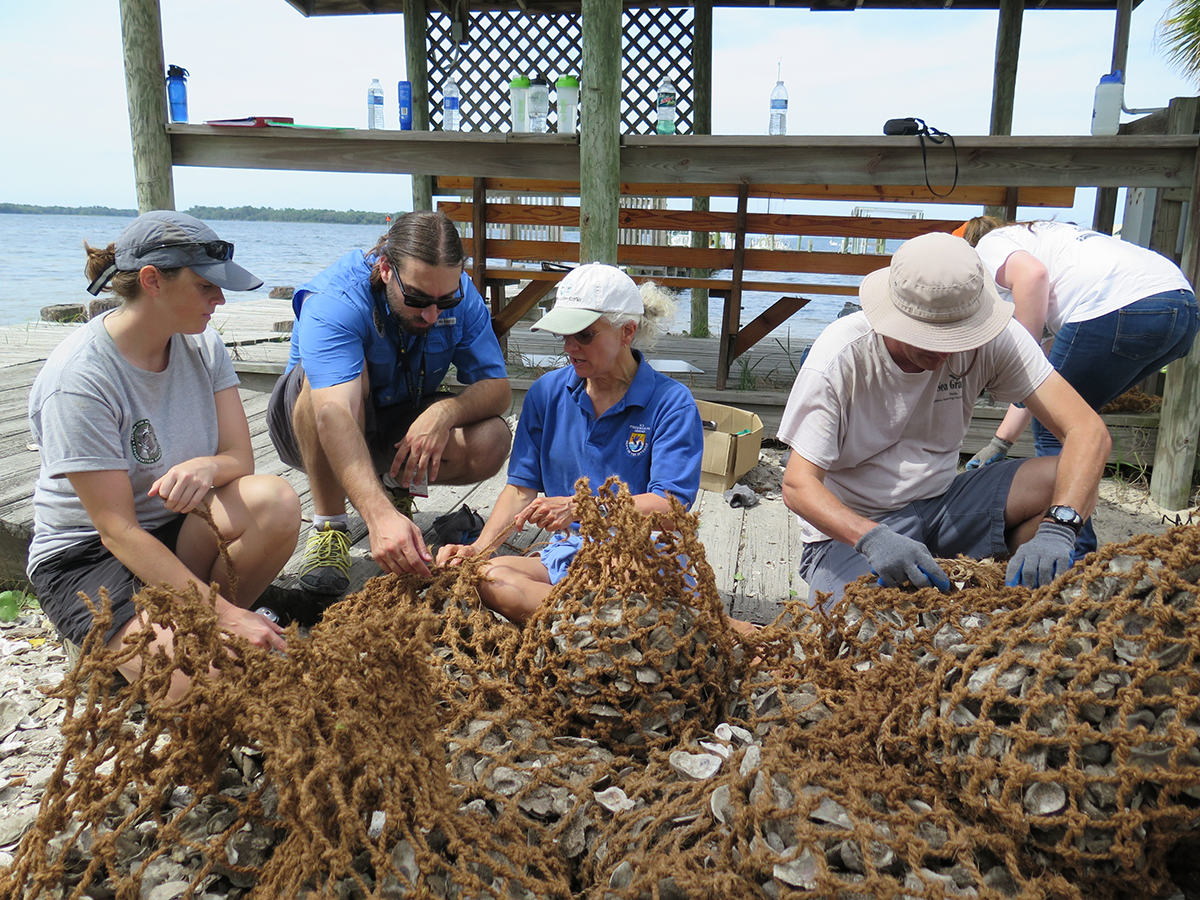 Staff St. Andrew & St. Joseph Bays Estuary Program