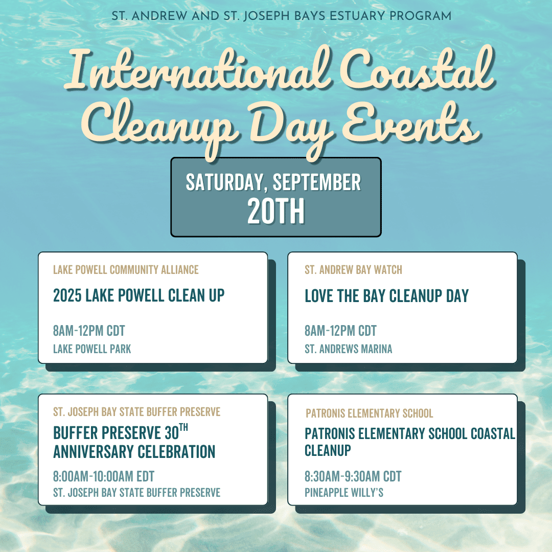 International Coastal Cleanup Day | St. Andrew & St. Joseph Bays ...